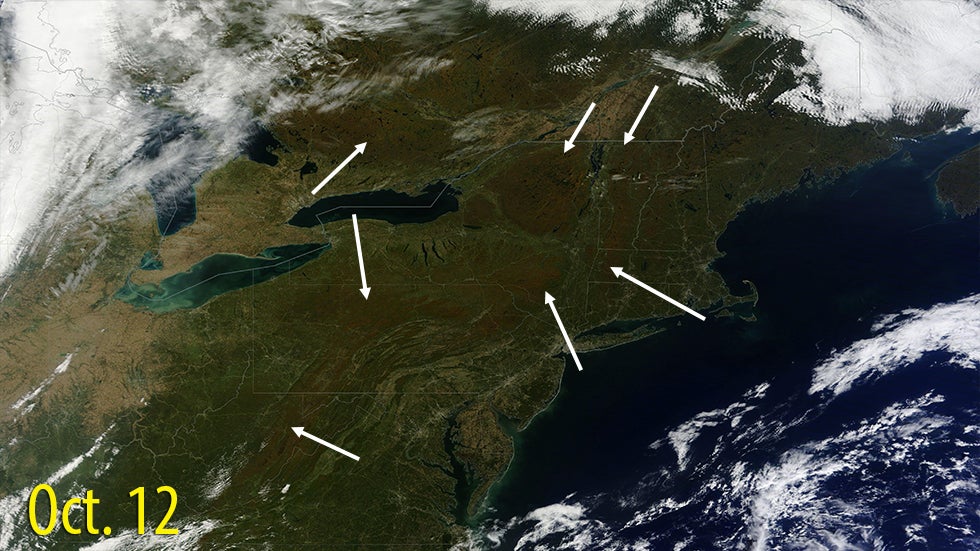 Views of Fall Foliage From Space | The Weather Channel