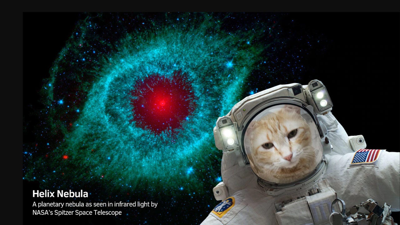 Grâce à la Nasa, partez faire des selfies dans l’espace | The Weather ...