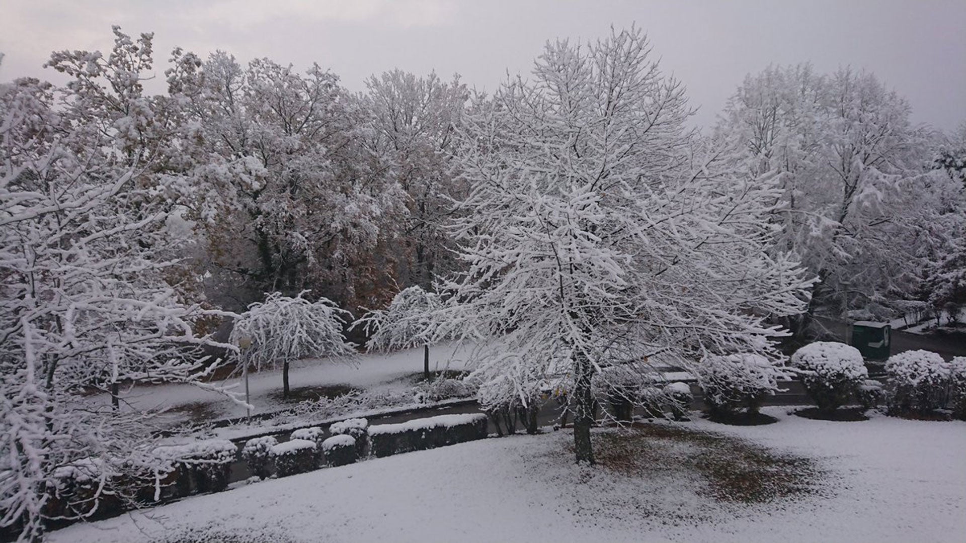 PHOTOS Il a neigé sur la région Auvergne-Rhône-Alpes | The Weather Channel