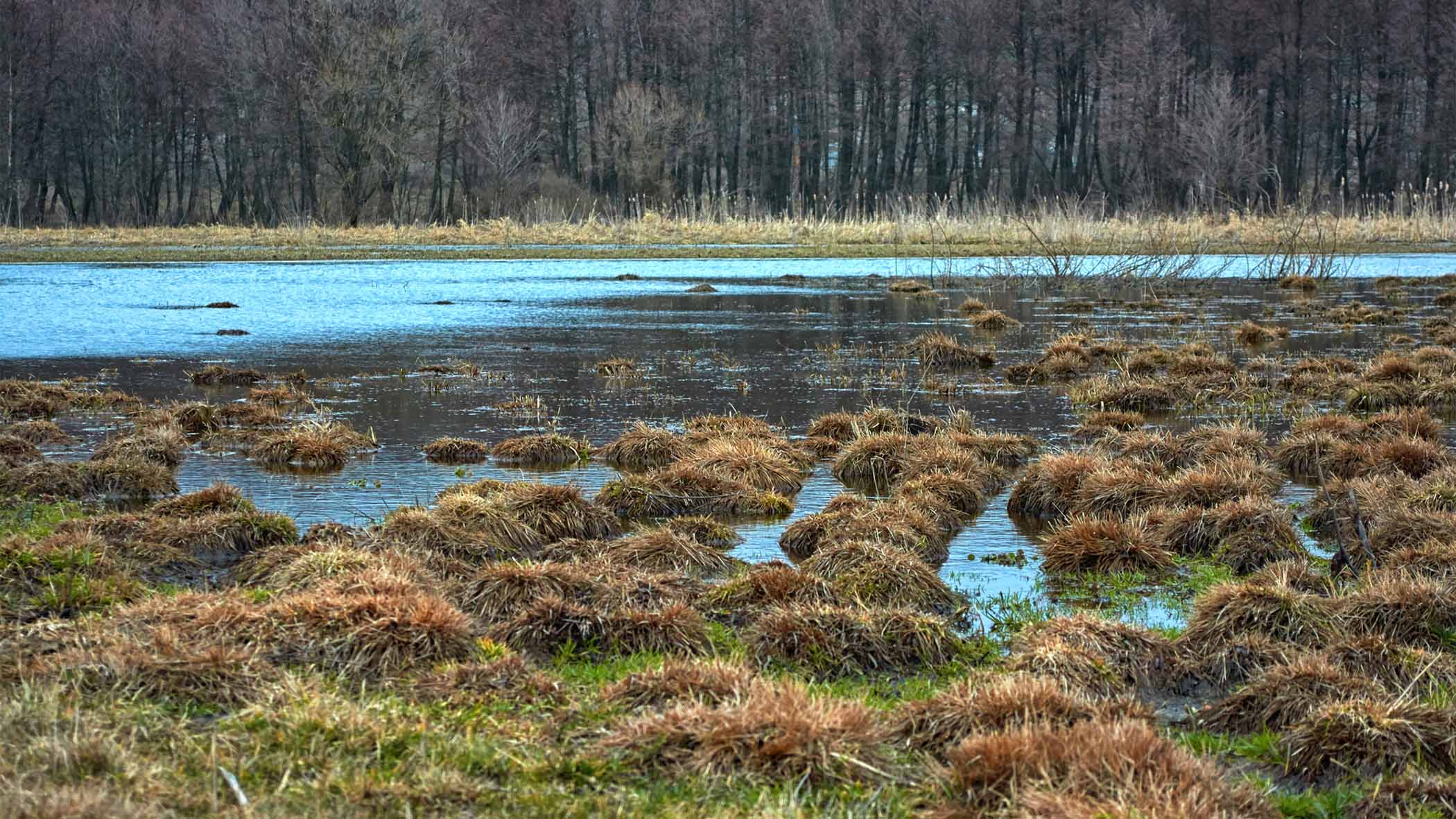 Weather Words: 'Freshet' | Weather.com
