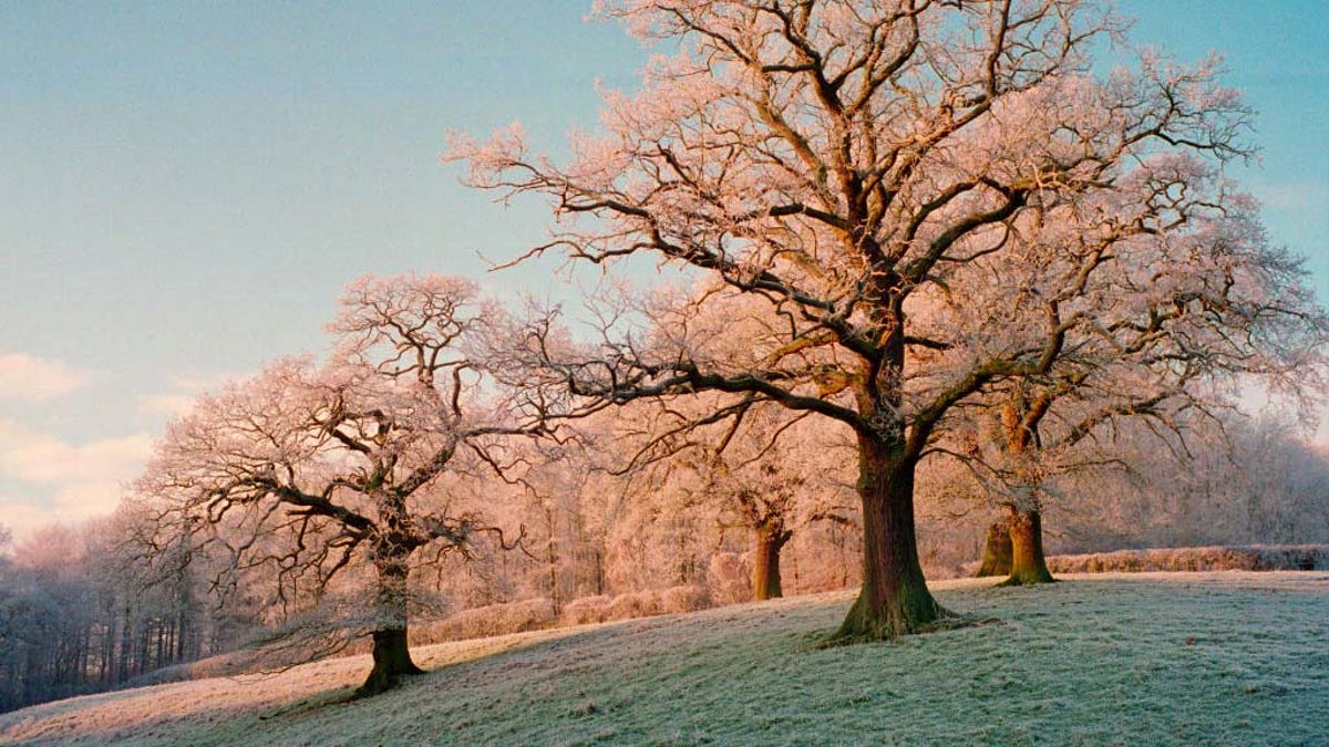 What Is Freezing Fog? | Weather.com