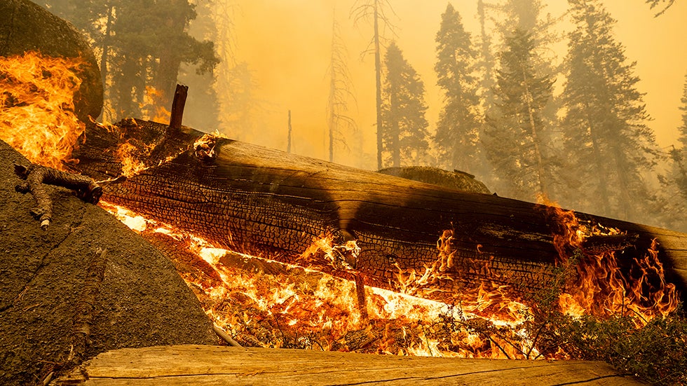 Weather Forecast and Conditions for Anderson, SC - The Weather Channel ...