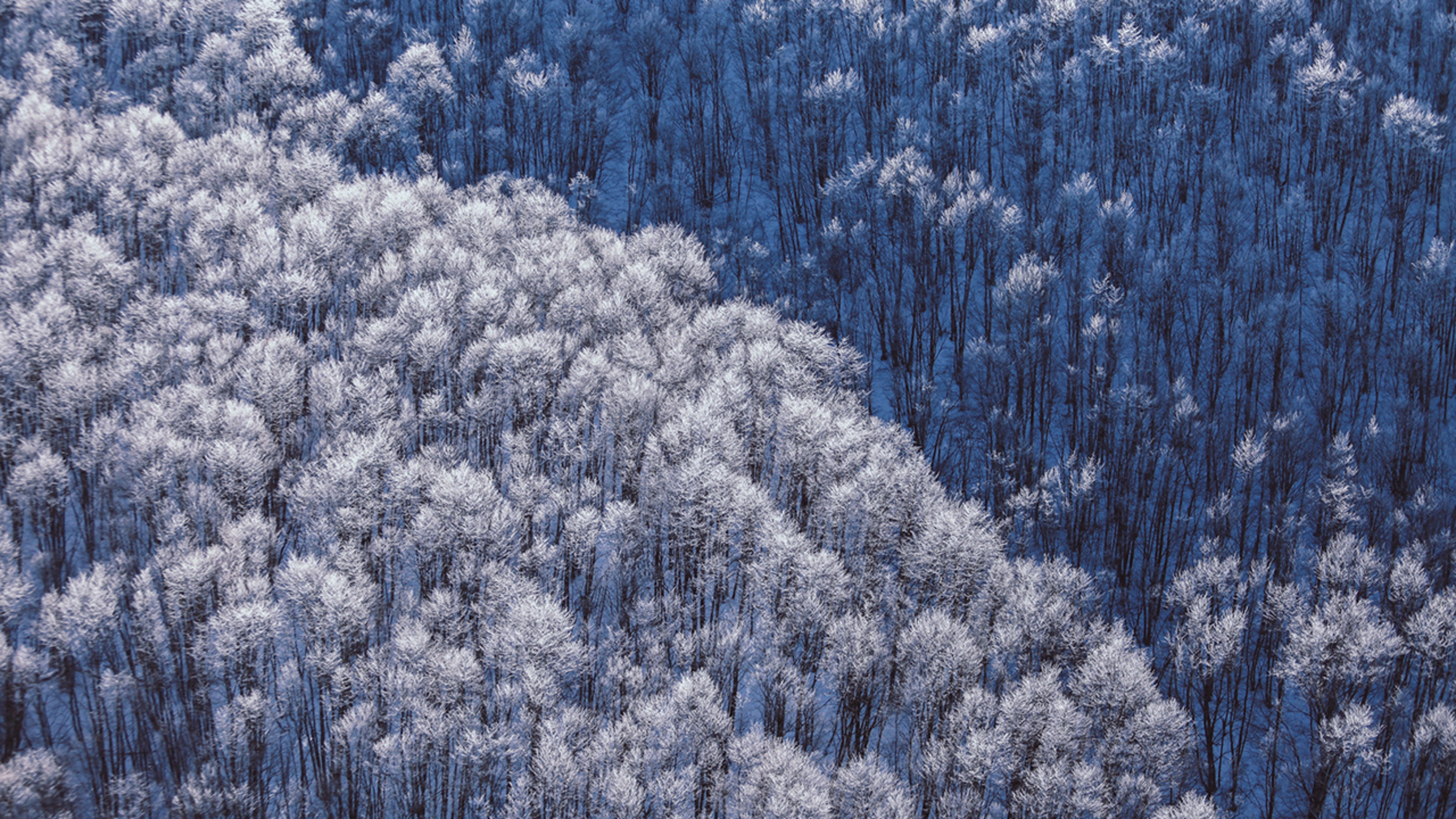 Photographing the Diverse Landscape of Georgia (PHOTOS) | The Weather ...
