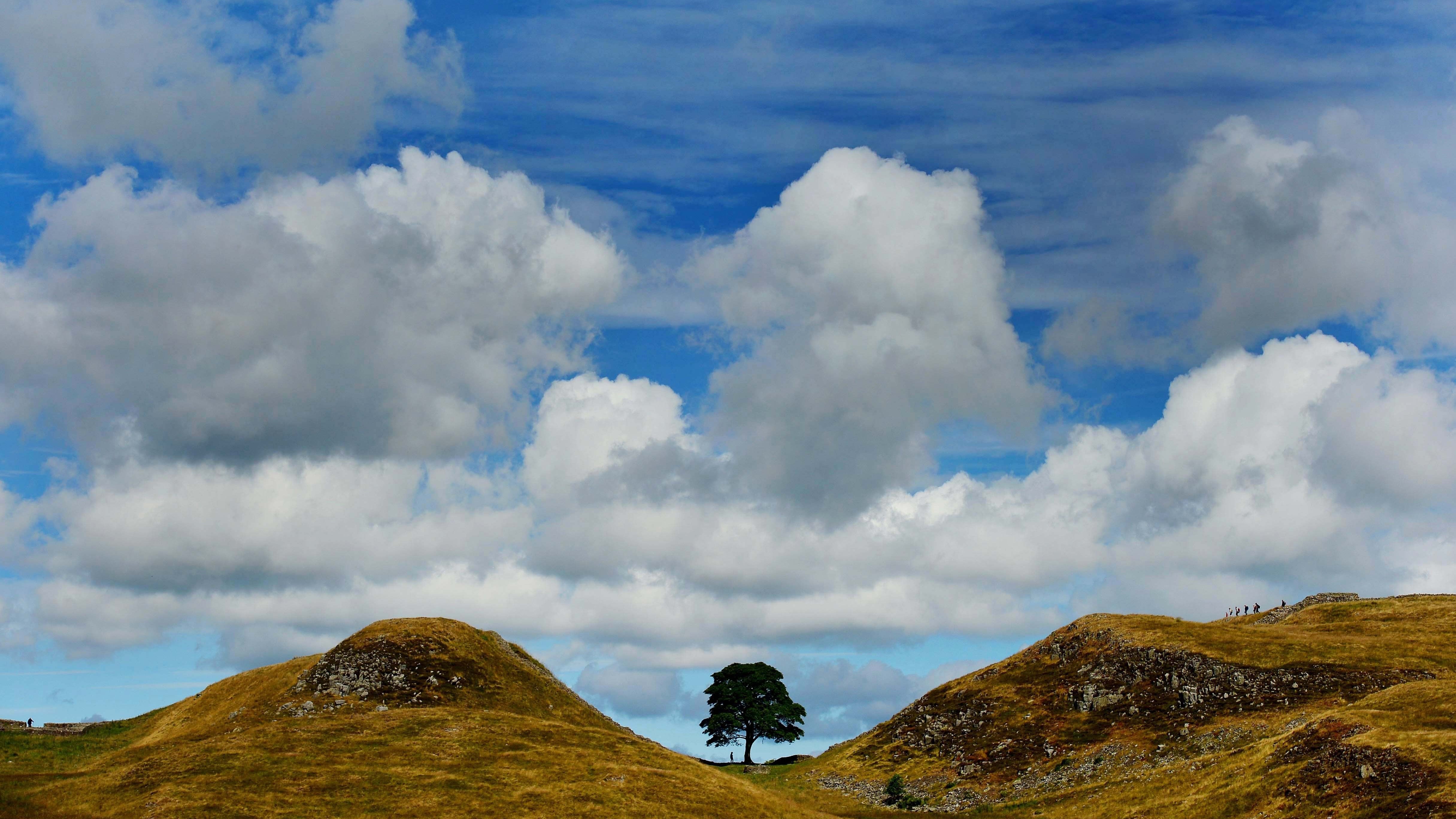 Photos Of The Sycamore Gap Tree | Weather.com