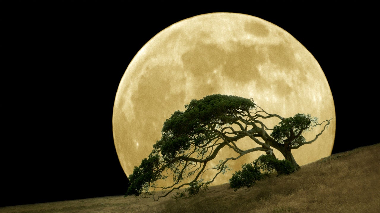 Harvest Moon Eclipse 2016: What You Need to Know | The Weather Channel