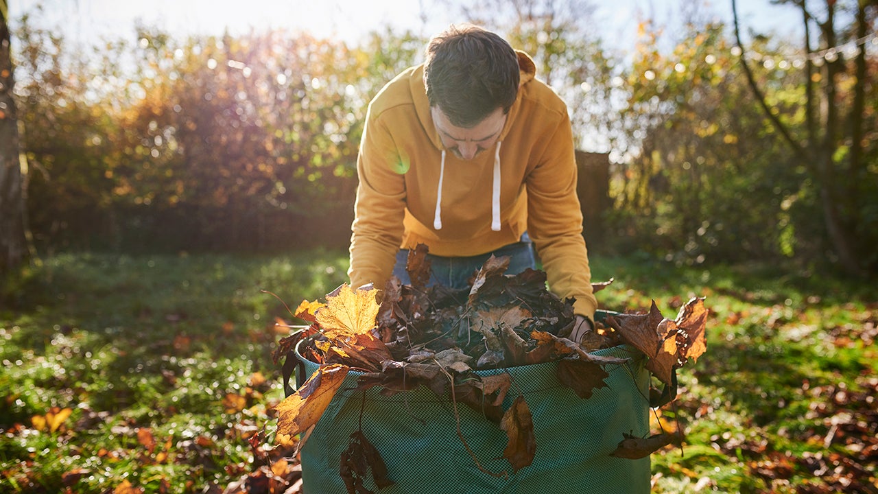 Is Raking Leaves Bad For The Environment? | Weather.com