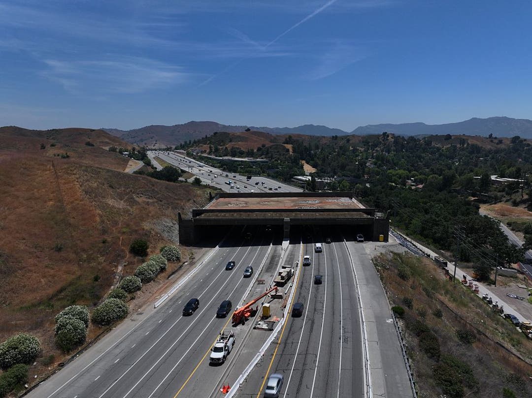 Milestone Reached For California Wildlife Bridge | Weather.com