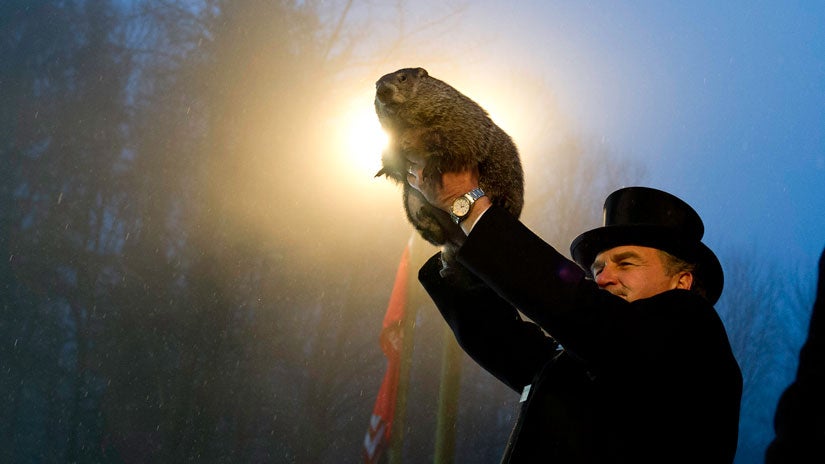 Punxsutawney Phil Doesn't See Shadow, Predicts Early Spring | The ...
