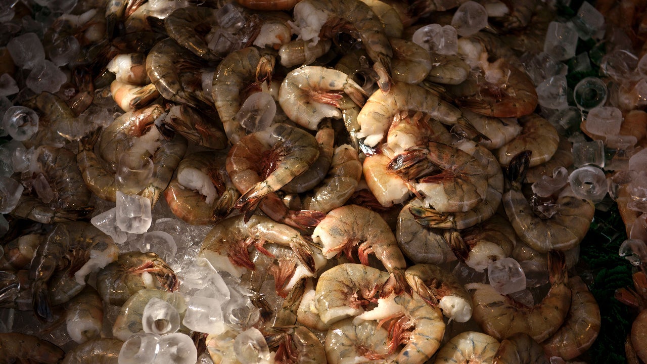 Bigger Shrimp Are Being Caught After Hurricane Matthew, Fishers Say ...