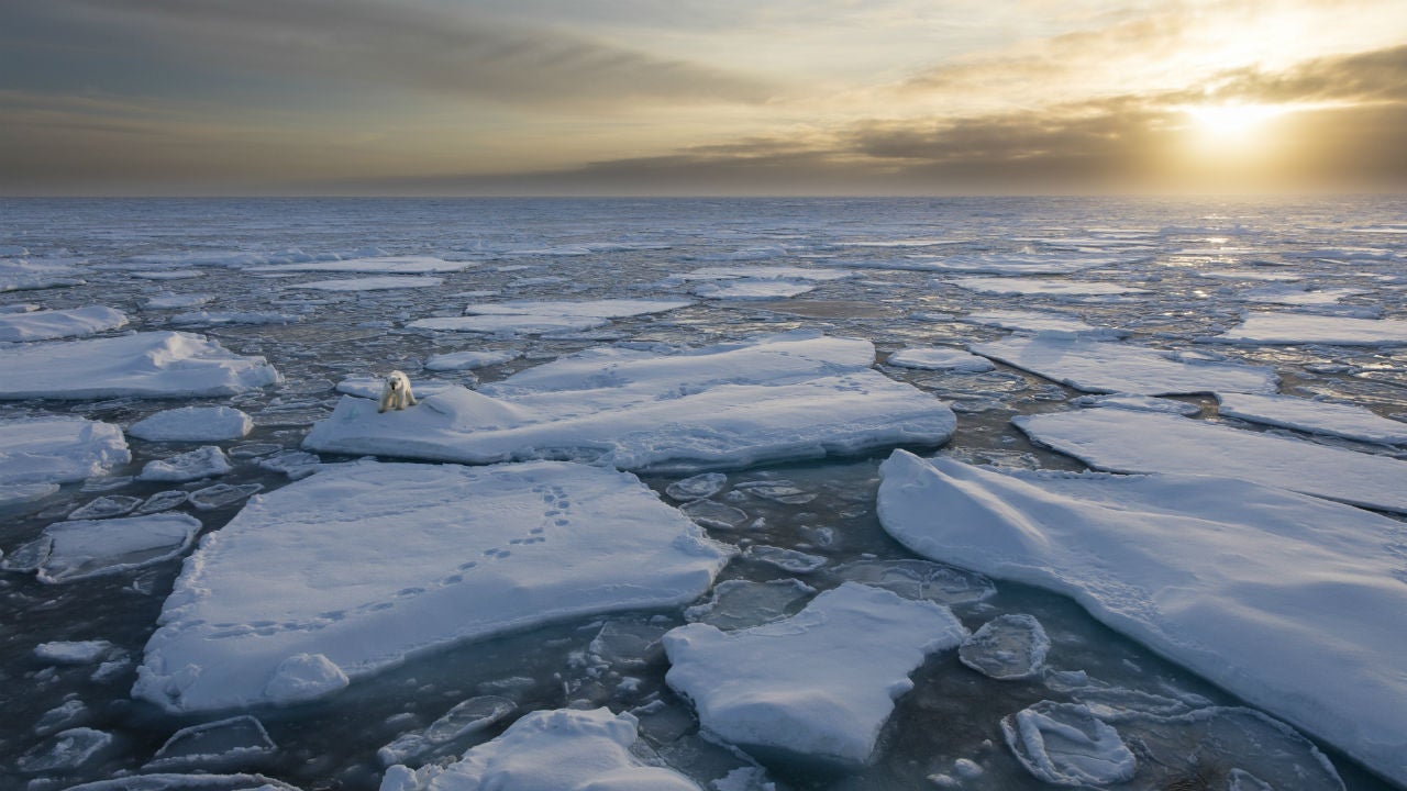 Declining Ocean Oxygen Levels From Climate Change Could Have Far ...
