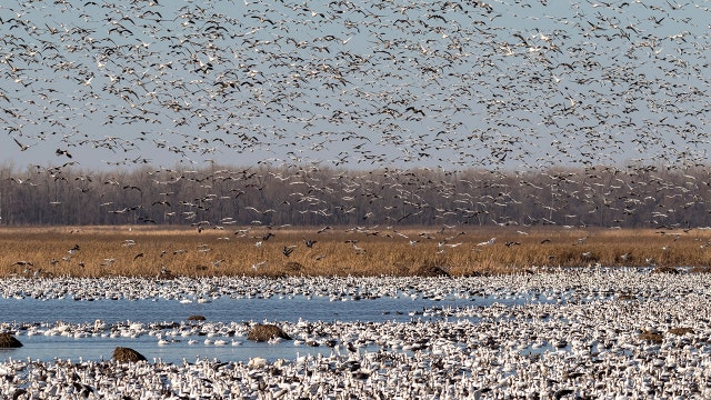 Phenomena That Only Happen In Fall | Weather.com