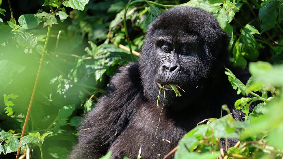 10-Day Weather Forecast for Weatherford, TX - The Weather Channel ...