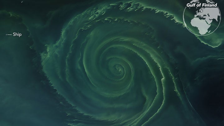 Algae Bloom Looks Like a Hurricane in the Gulf of Finland | Weather.com