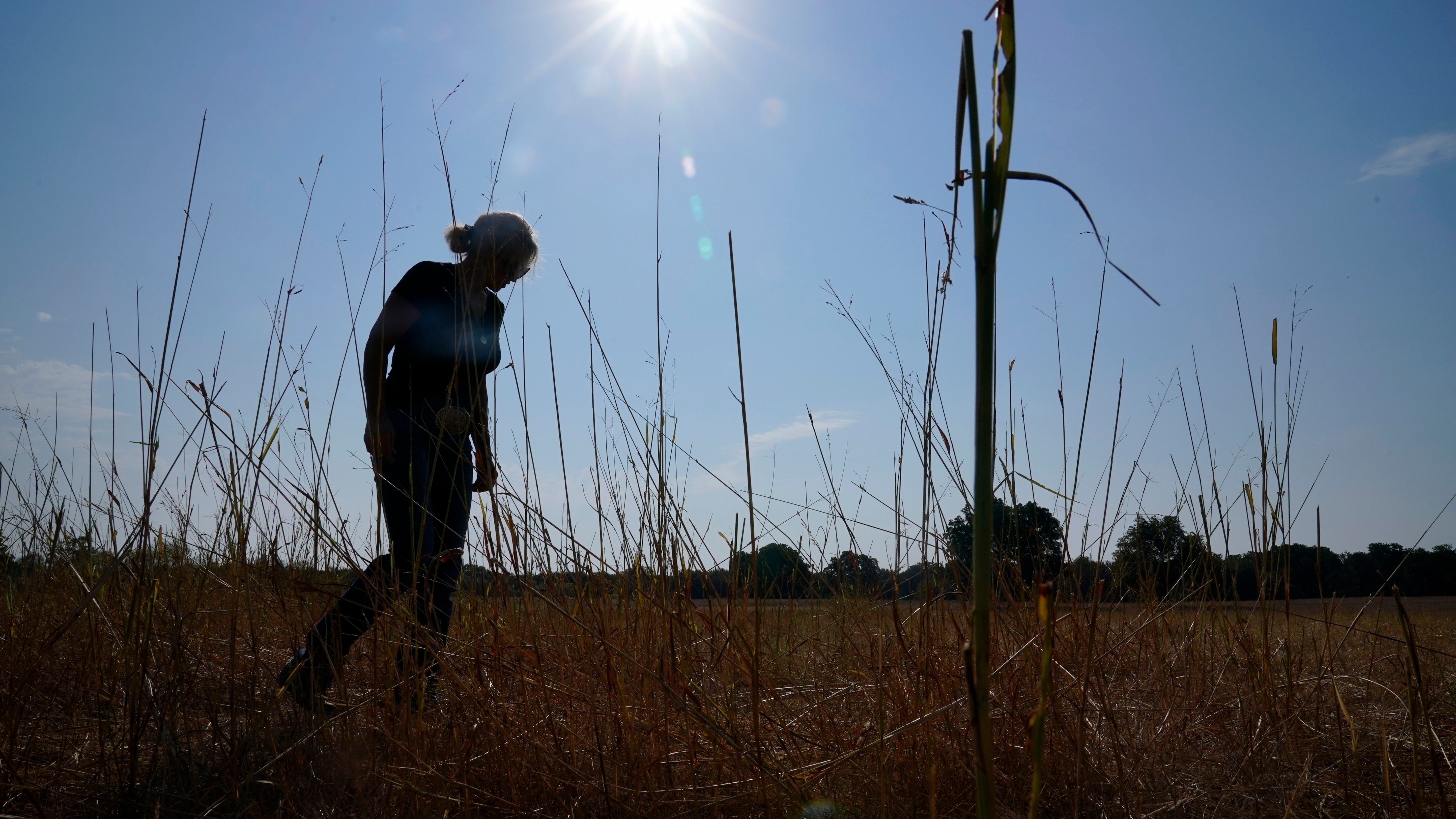 Climate Change Makes Farmers Consider Irrigation | Weather.com