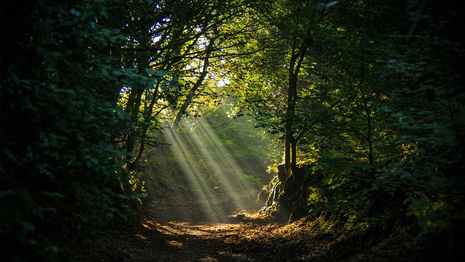 Weather Words: 'Shivelight' | Weather.com