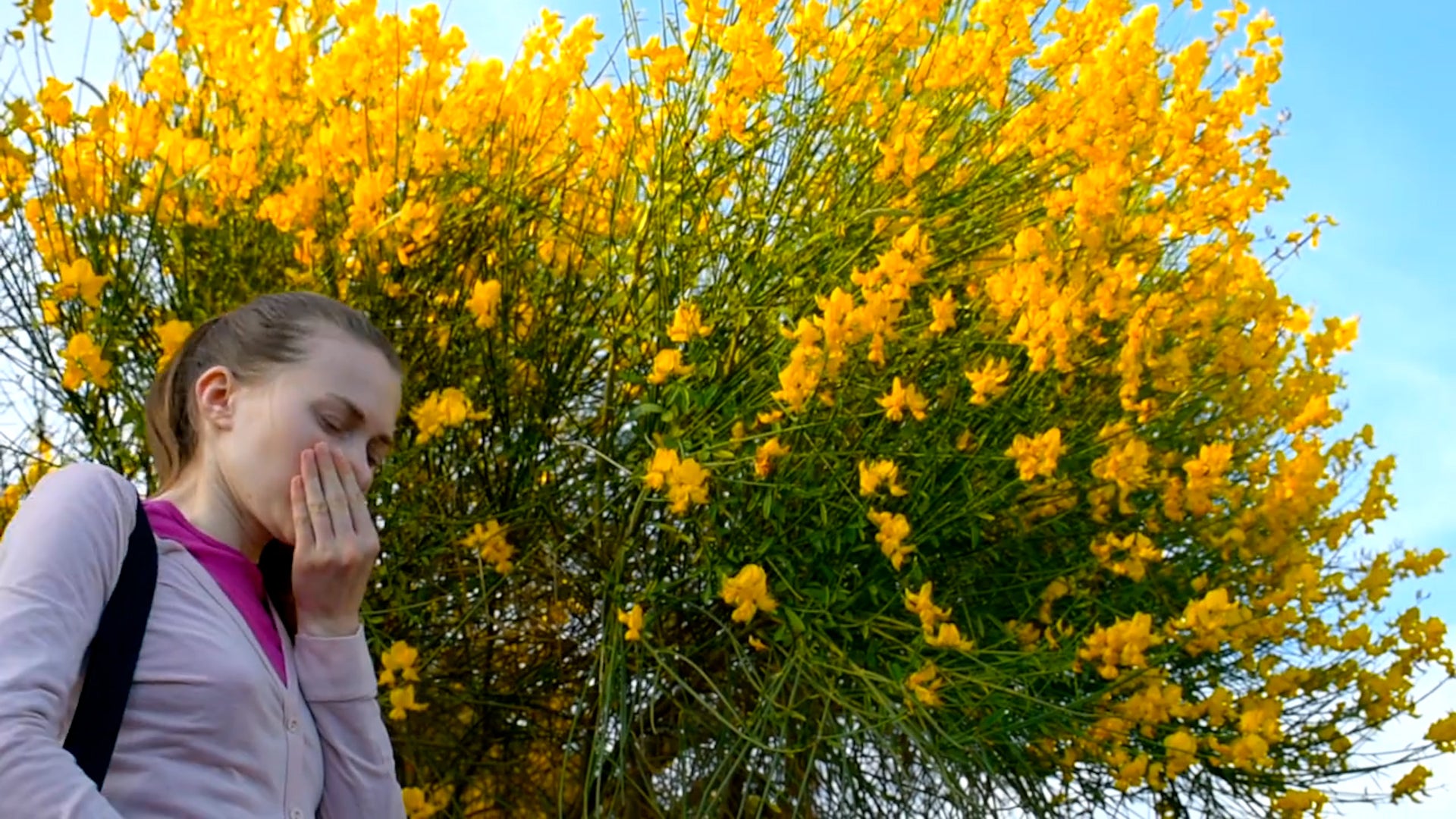 How Cold Snaps Impact Pollen Counts - Videos from The Weather Channel