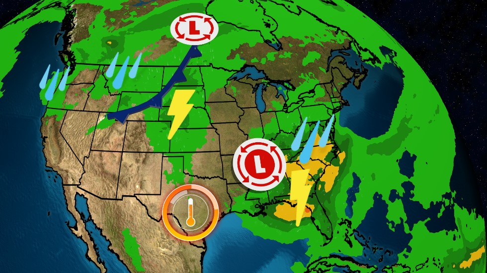 Dead Birds Washing Ashore By The Thousands on Pacific Coast Baffle ...
