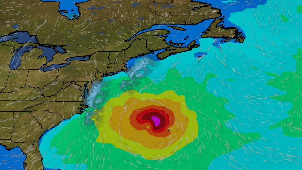 Huge Rodents Called Nutria Invade California - Videos from The Weather ...