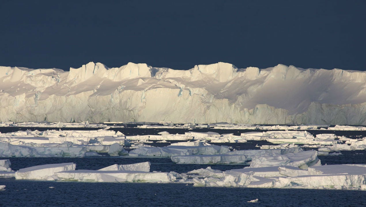 Rapid Ice Melt In East Antarctica Could Lead to 11-Foot Rise In Global ...