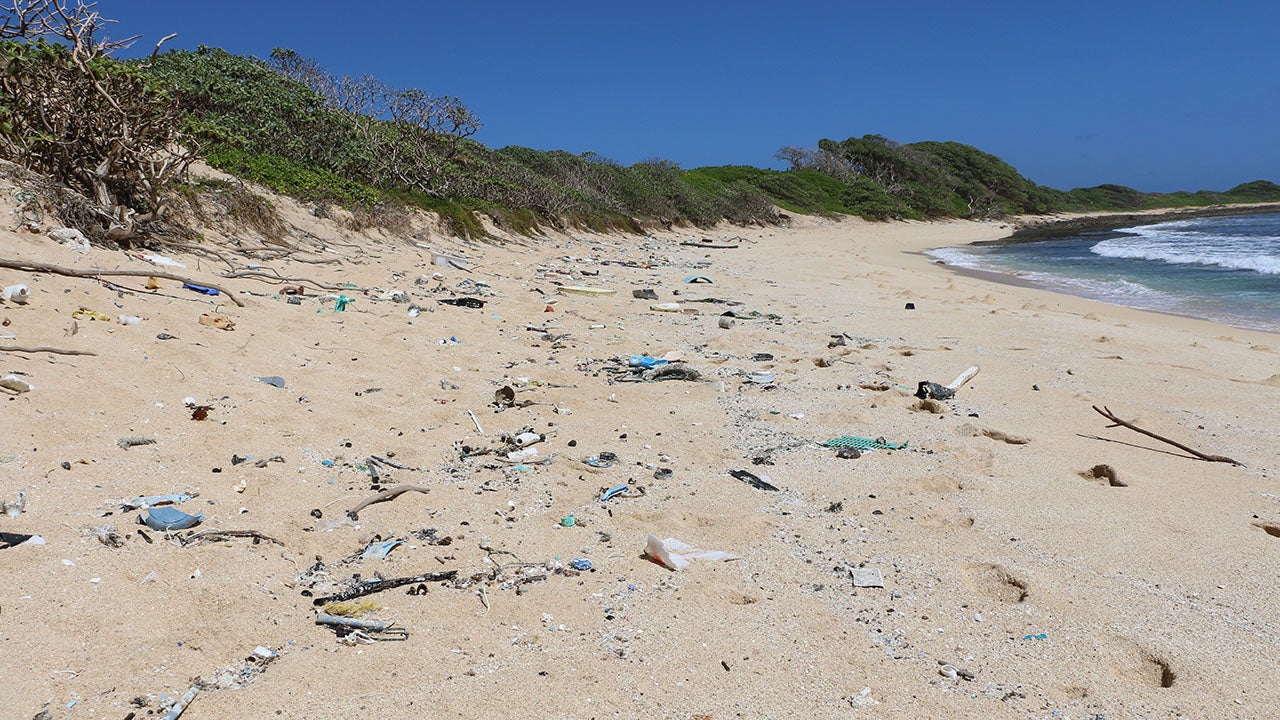 Hawaii Beaches Plagued By Plastic Debris, Survey Finds (PHOTOS) | The ...
