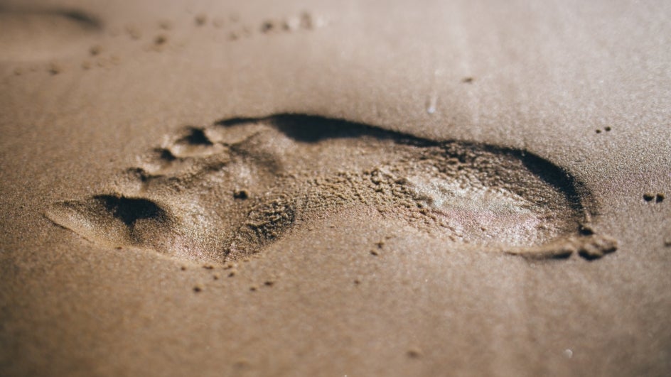 Scientists Discover Invisible Footprints That Were Hidden Since Last ...