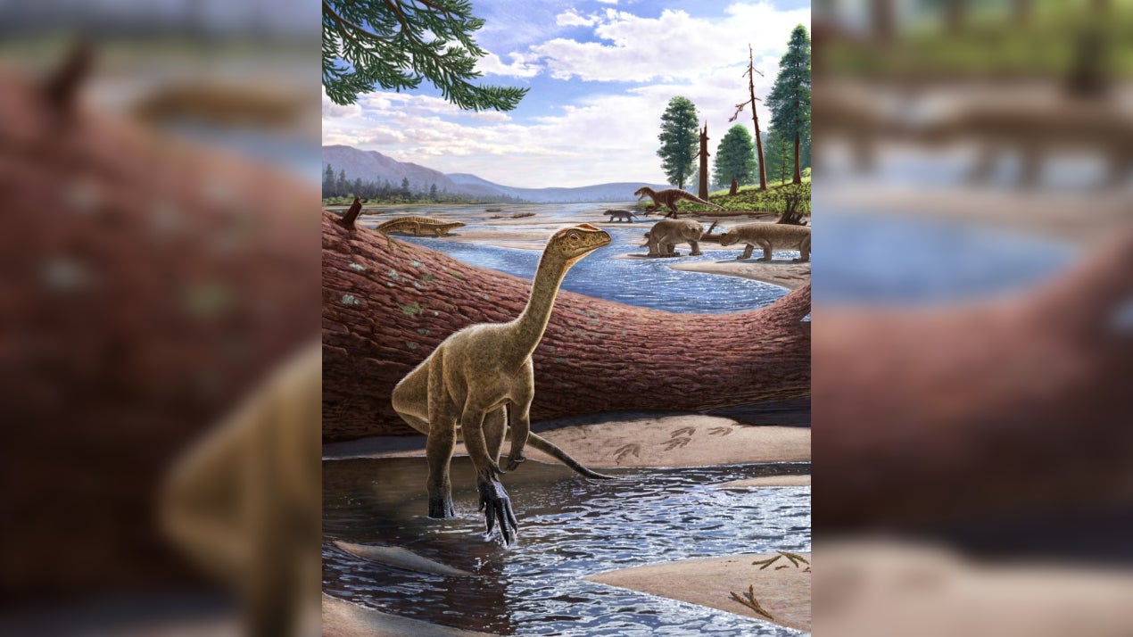 Meet the Mbiresaurus Raathi — Africa’s Oldest Known Dinosaur Uncovered ... Meet the Mbiresaurus Raathi — Africa’s Oldest Known Dinosaur Uncovered ...
