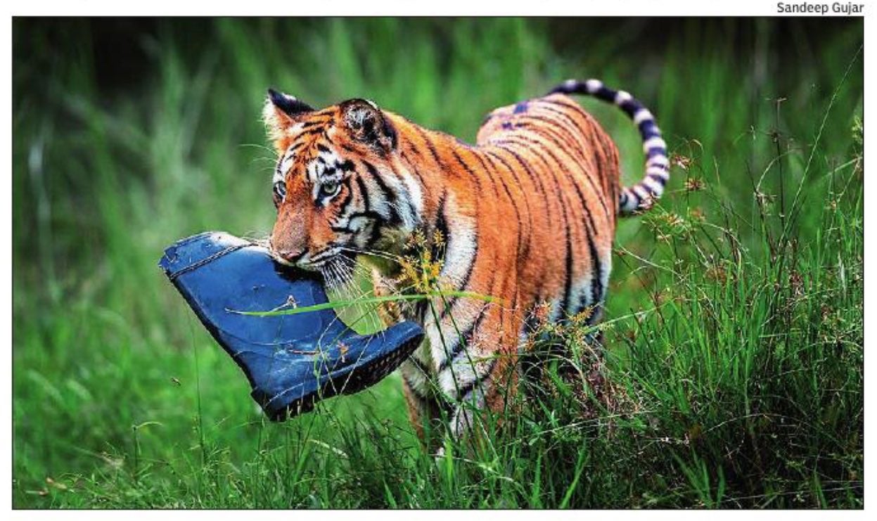 Weather forecast and conditions for Roorkee, Uttarakhand - The Weather ...