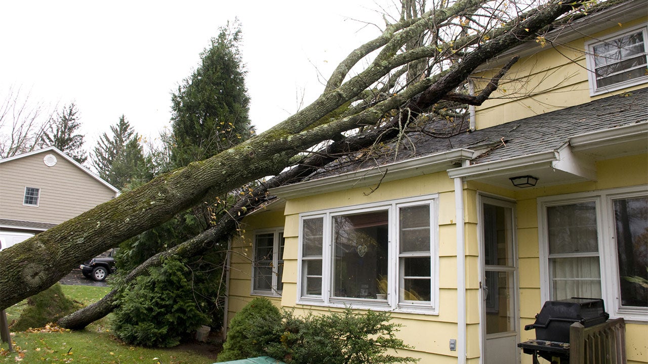 What's Your Winter Damage? And How to Fix It | The Weather Channel