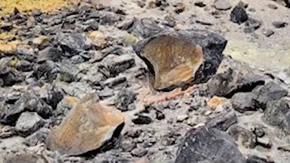 Japanese ‘Killing Stone’ Splits in Two - Videos from The Weather Channel