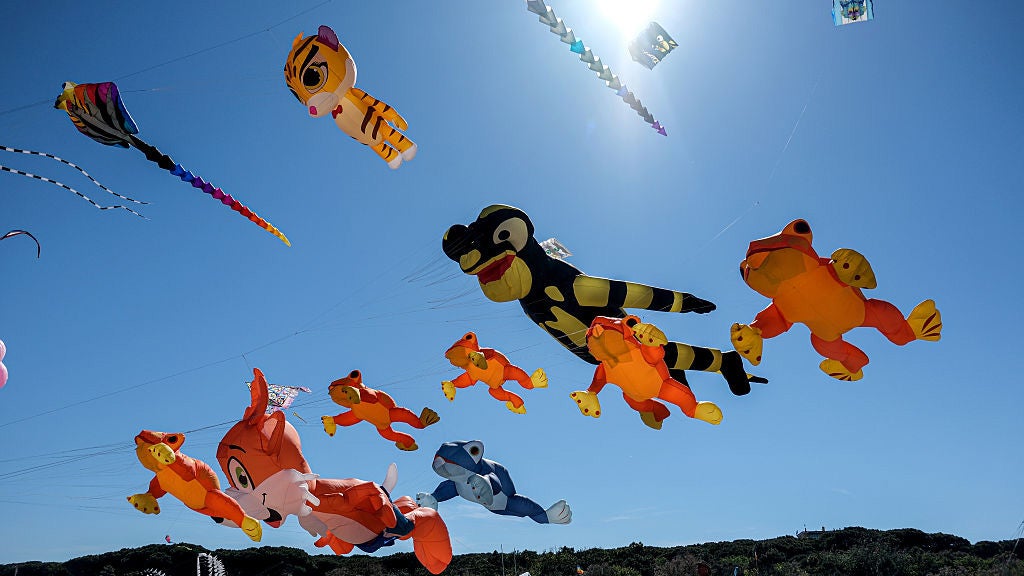 800,000 People Love Kites, Evidently | Weather.com