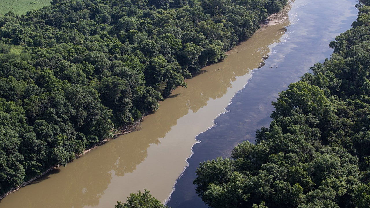 Kentucky River Strewn With Dead Fish Following Fire at Jim Beam ...