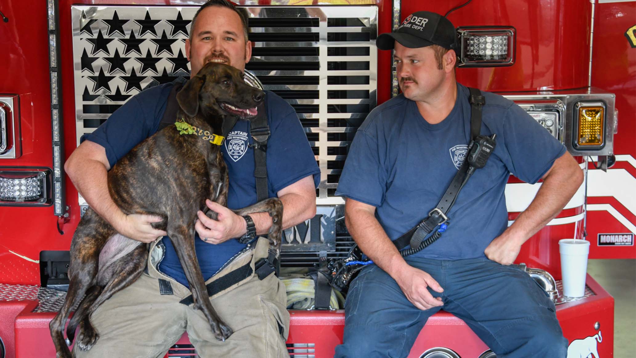 North Carolina Firefighters Band Together To Foster Dog Rescued From ...