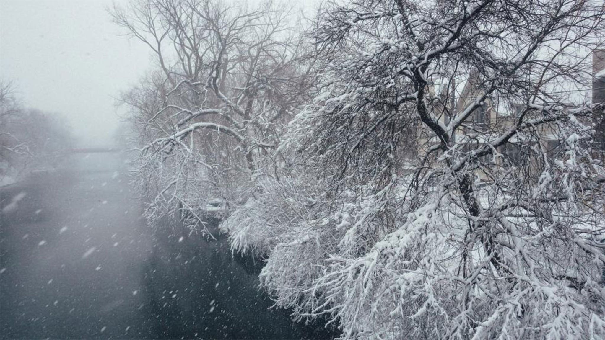 We Asked, You Shared: Winter Storm Linus Through Your Eyes | The ...