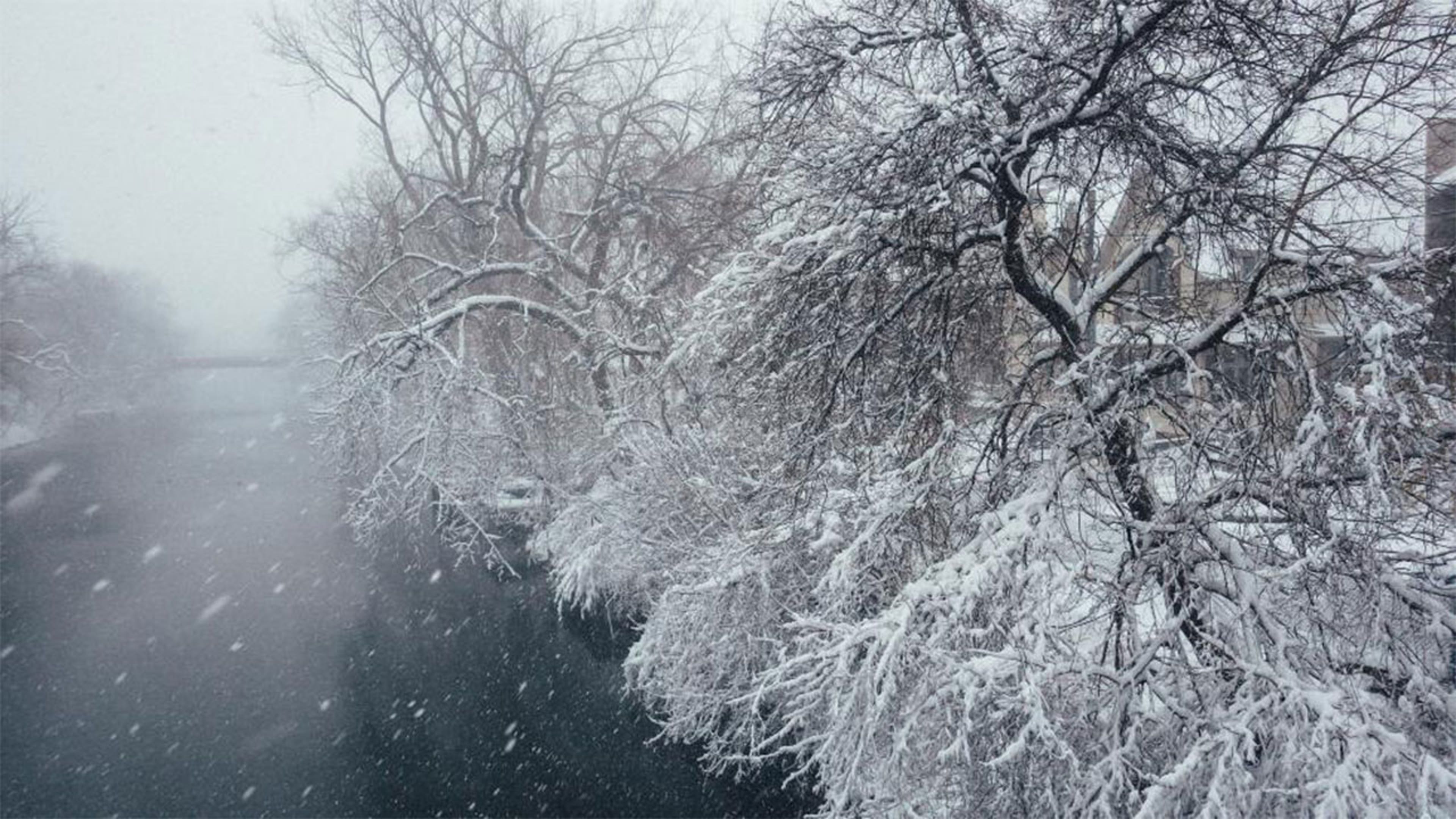 We Asked, You Shared: Winter Storm Linus Through Your Eyes | The ...