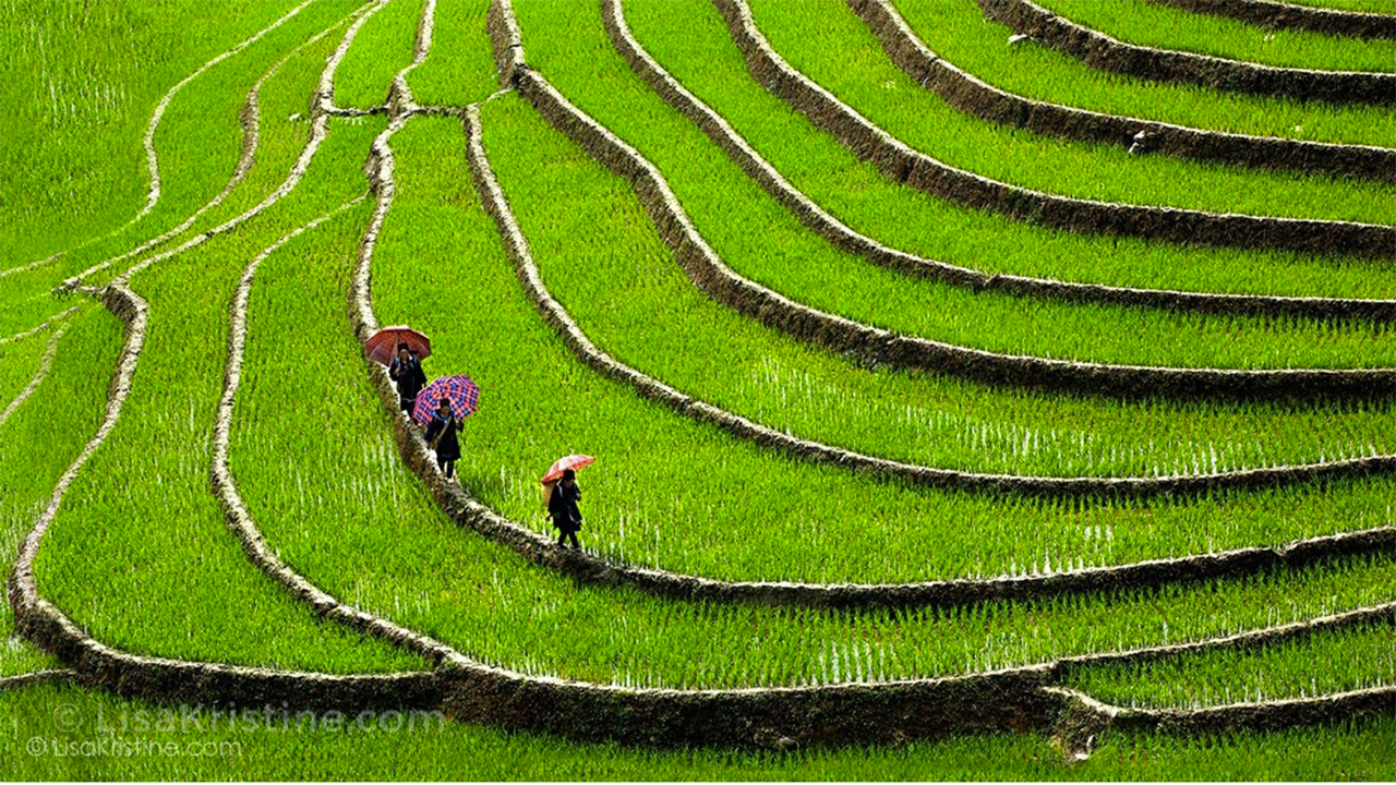 Photographer Travels to Document the World’s Indigenous Cultures ...