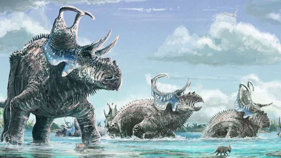 Two New Horned Dinosaur Species Announced This Week | The Weather Channel