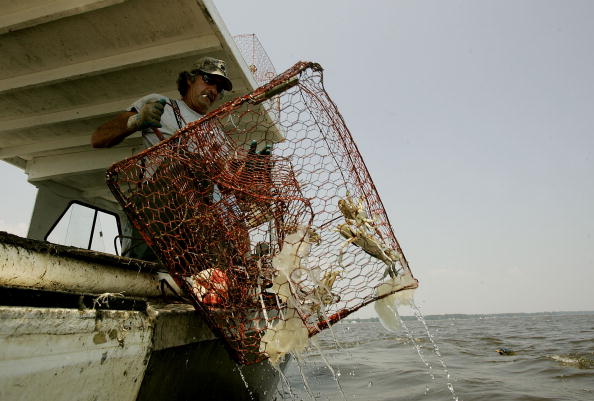 Scientists to Crabbers: Report Lost Traps | The Weather Channel