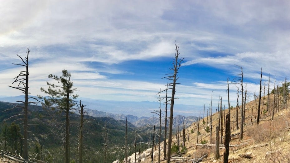 Climate Change Is Stoking What May Be a Long-Term Megadrought in ...