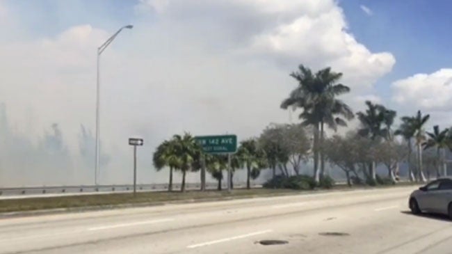 Wildfire Engulfs Nearly 700 Acres, Shuts Down Roadway in Miami-Dade ...
