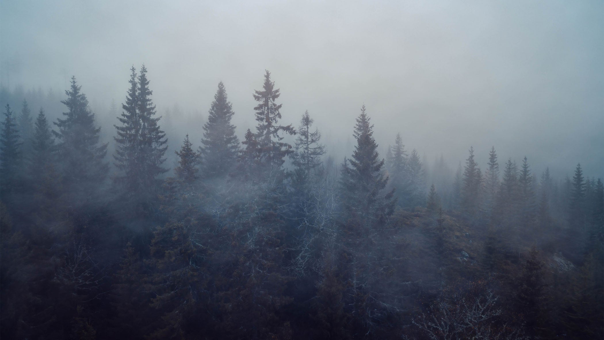 Weather Words: 'Dinge' | Weather.com