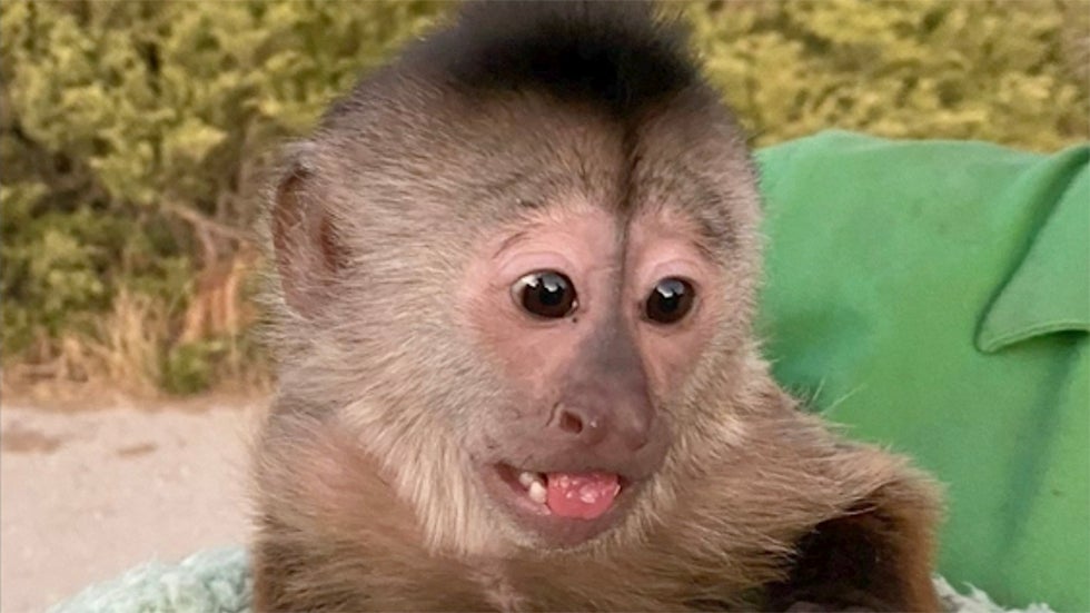 National and Local Weather Radar, Daily Forecast, Hurricane and ...