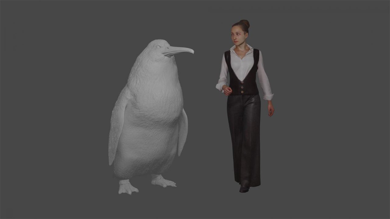 Human-Sized Penguin Once Roamed New Zealand, Study Says | The Weather ...