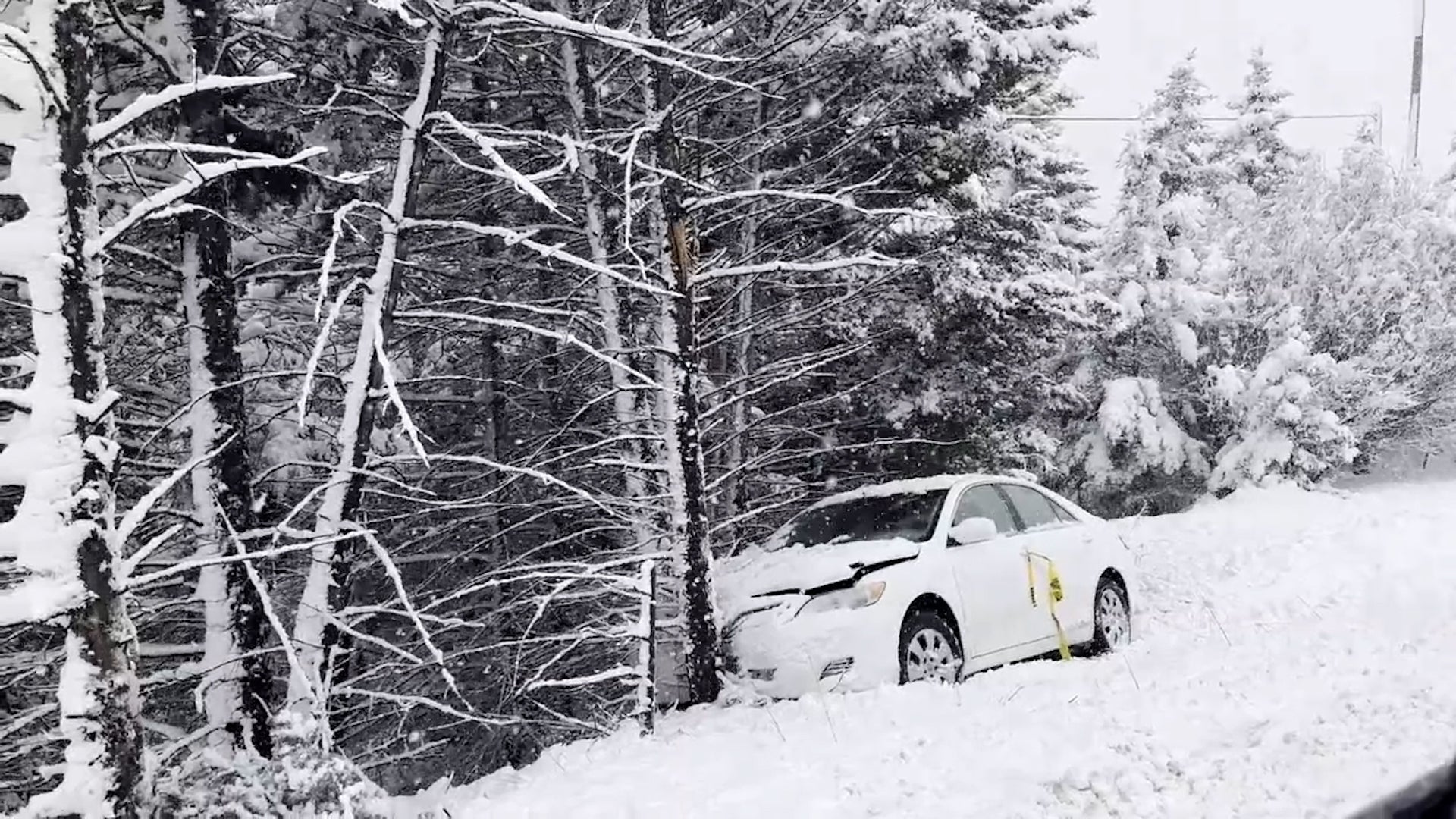 National and Local Weather Radar, Daily Forecast, Hurricane and ...