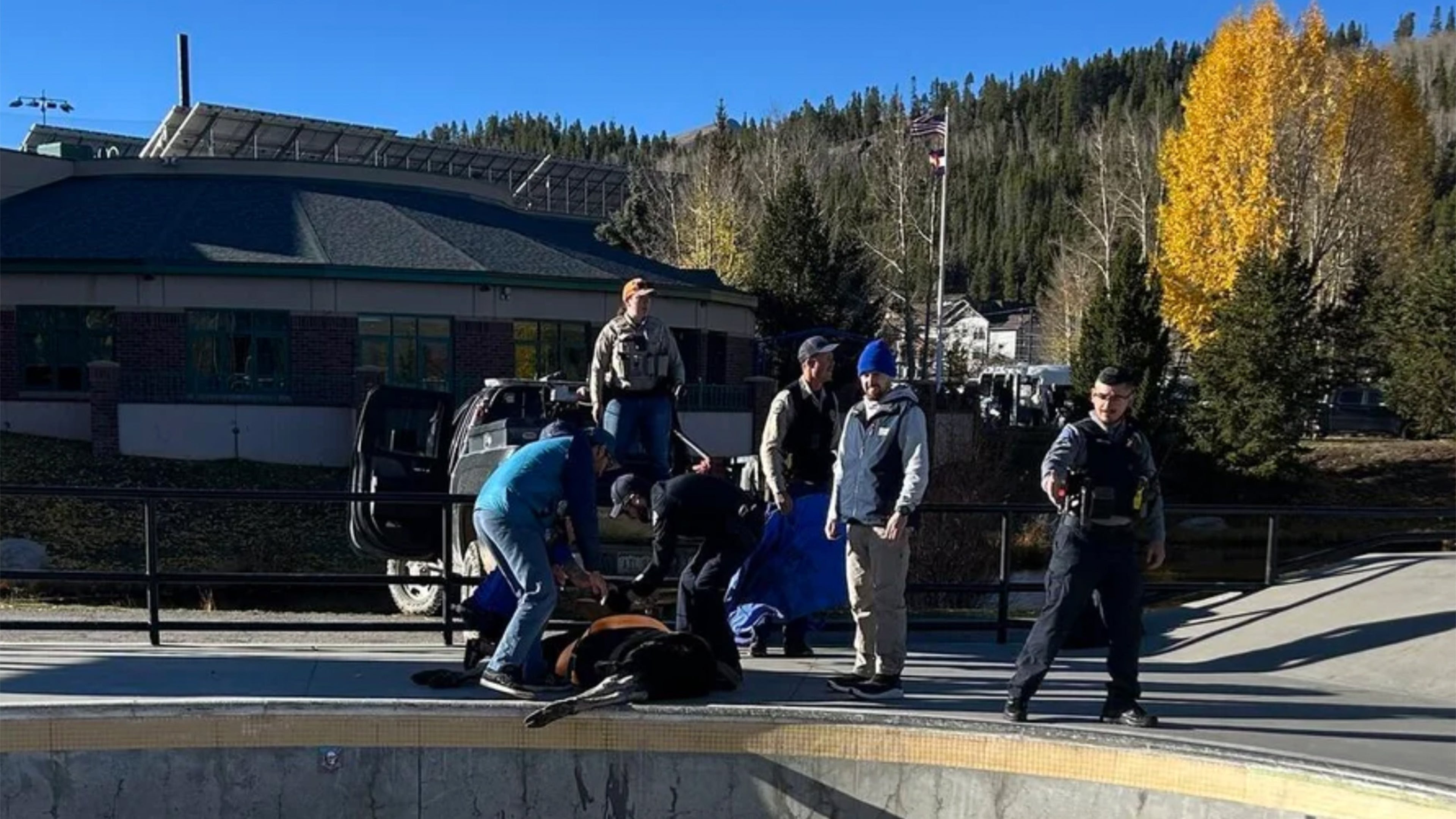 Young Moose Rescued From Colorado Skate Park Bowl | Weather.com