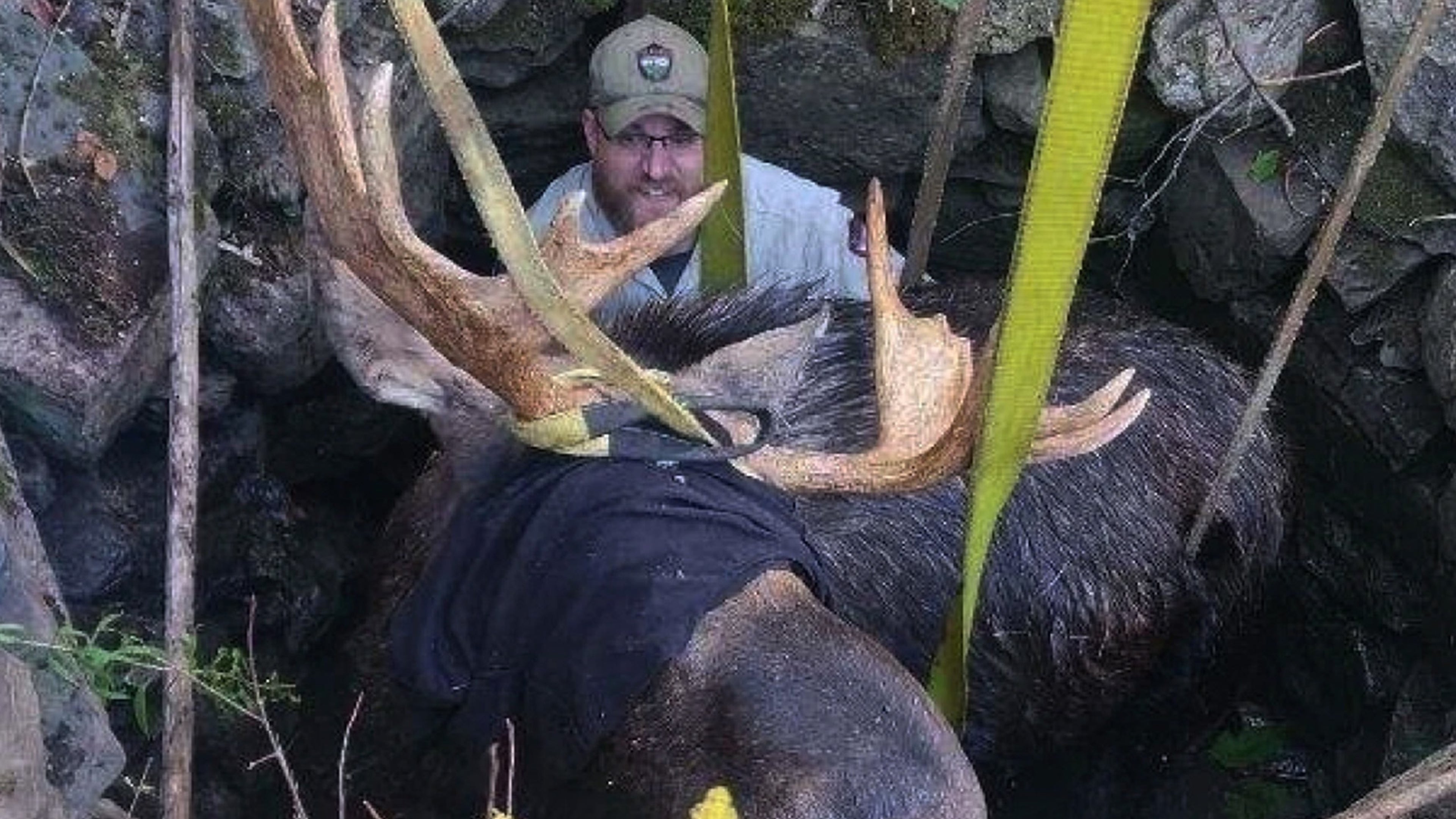 Maine Wardens Rescue Moose Trapped For Hours In Abandoned Well ...