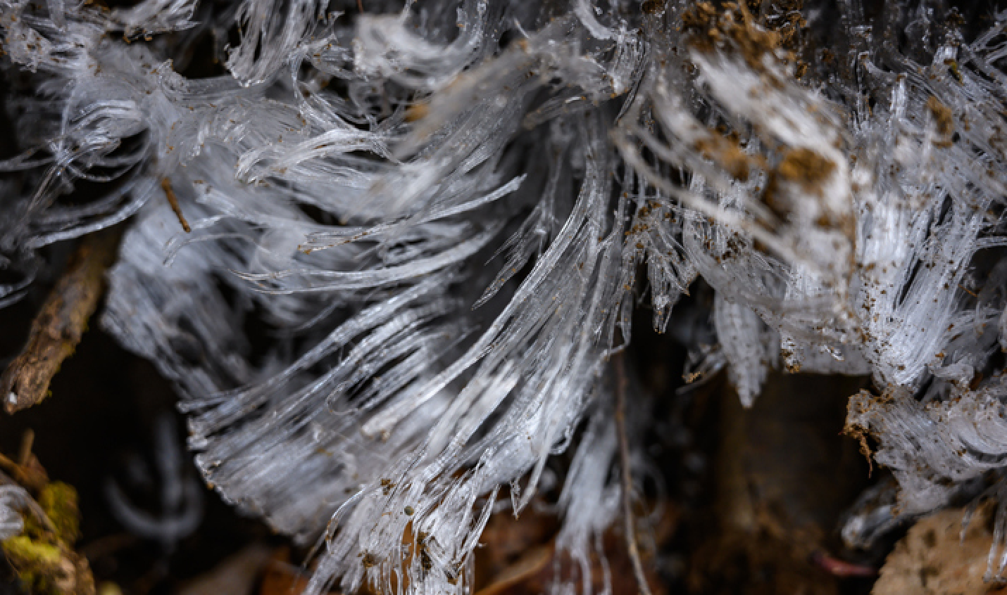 Weather Words: 'Needle Ice' | Weather.com
