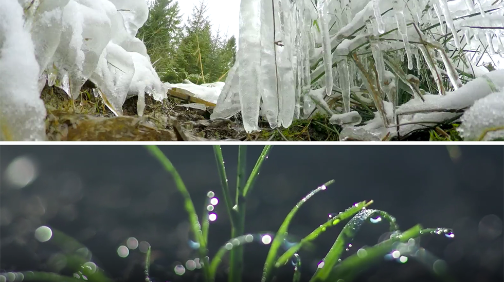 What Is Needle Ice? - Videos from The Weather Channel
