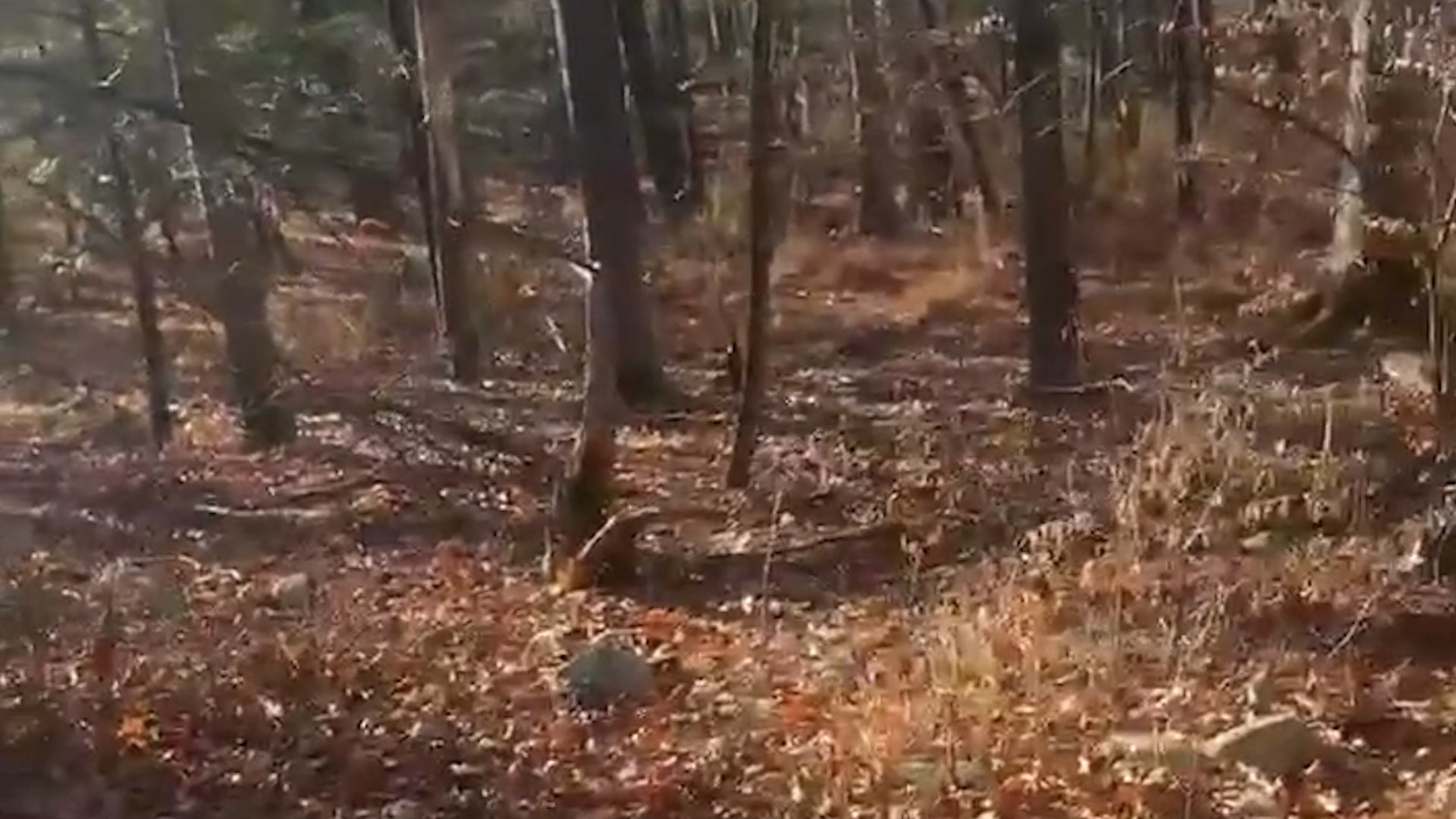 Weather Forecast and Conditions for Boyertown, PA - The Weather Channel ...