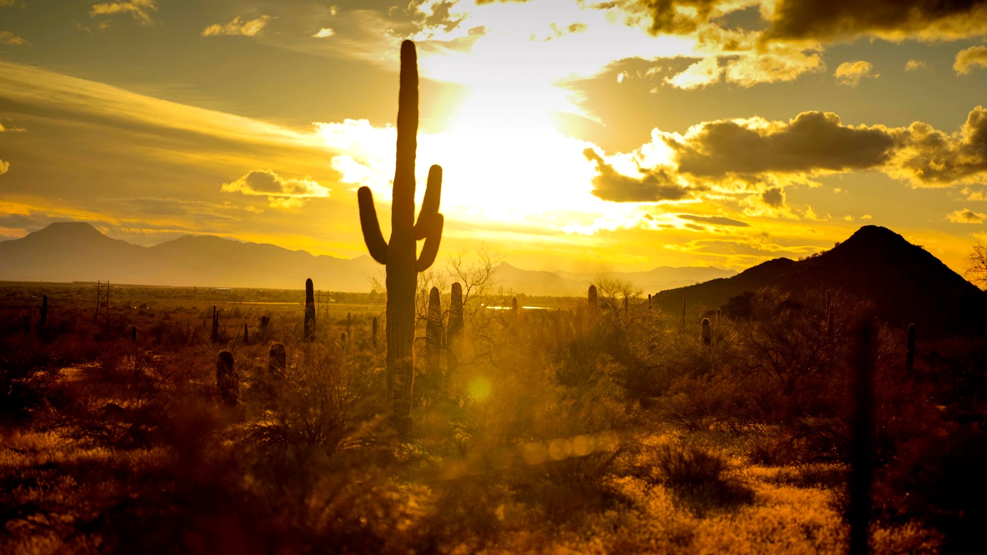 Phoenix Hits 100 Degrees For The 100th Straight Day | Weather.com