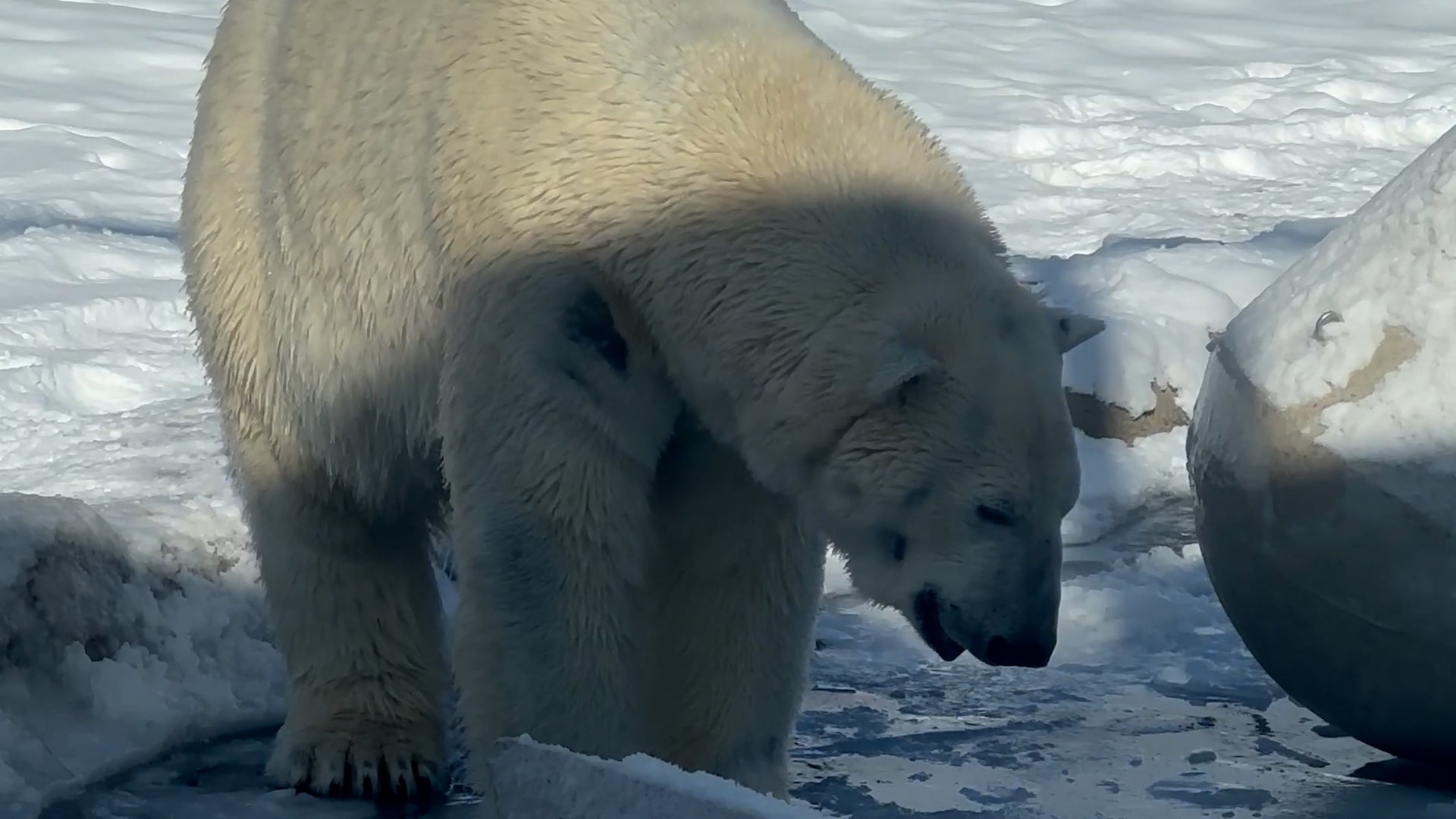 10-Day Weather Forecast for Kentwood, MI - The Weather Channel ...